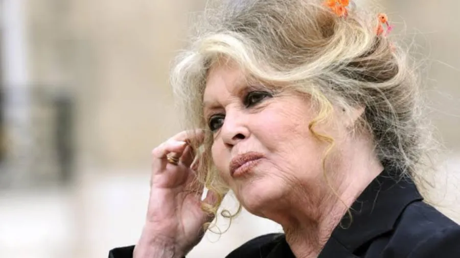 Adeus, Brigitte Bardot! Atriz francesa é reverenciada de diversas ...